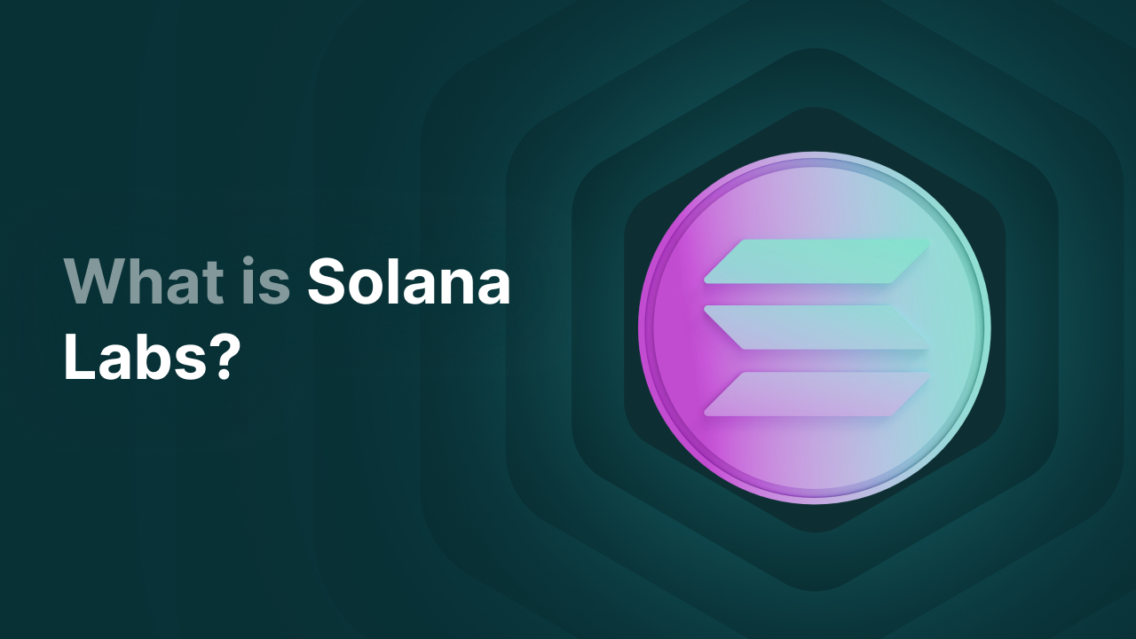 ¿Qué es Solana Labs y de qué son responsables? | Academia Cripto